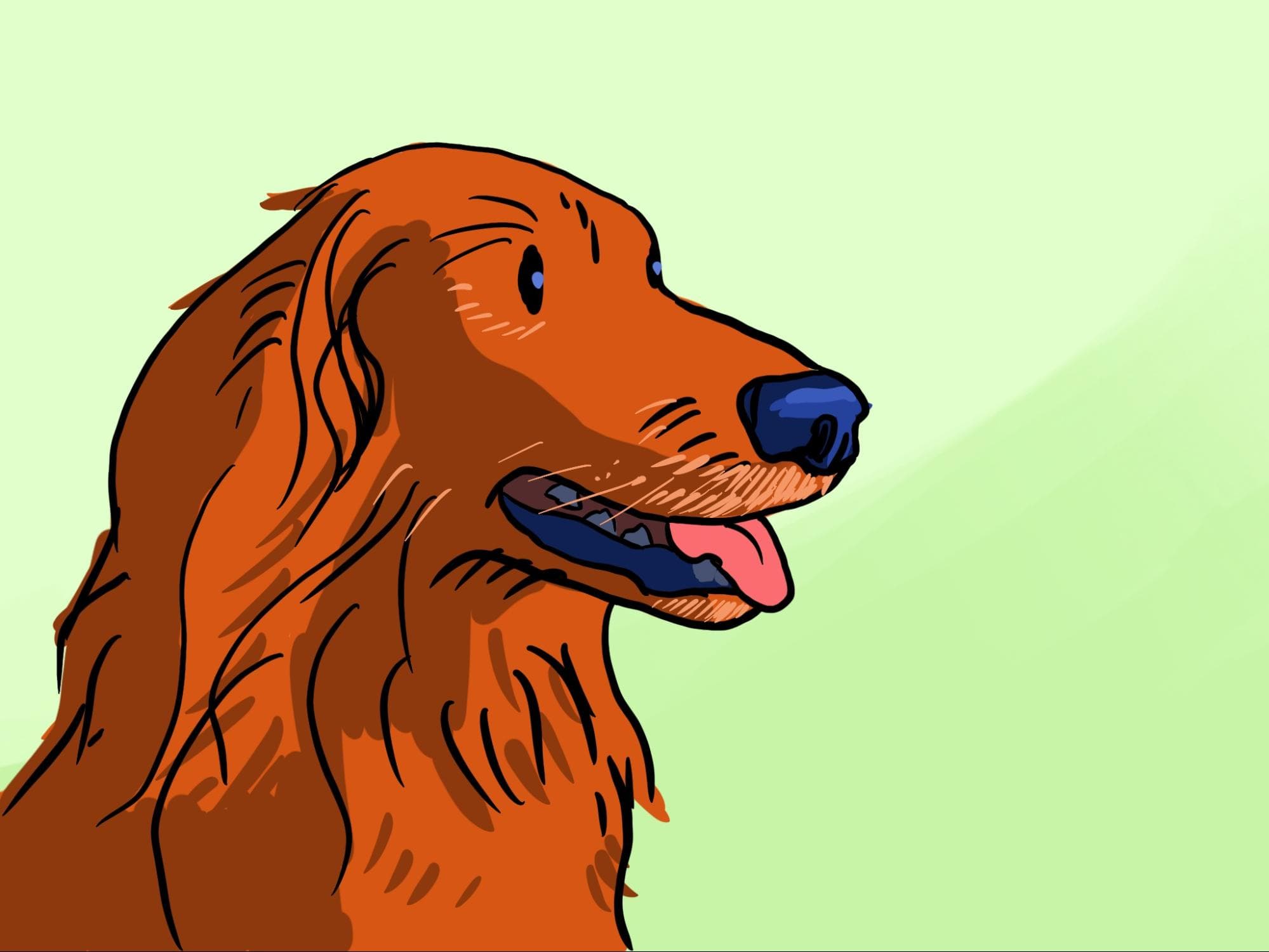 Snyk + International Dog Day: recap | Snyk