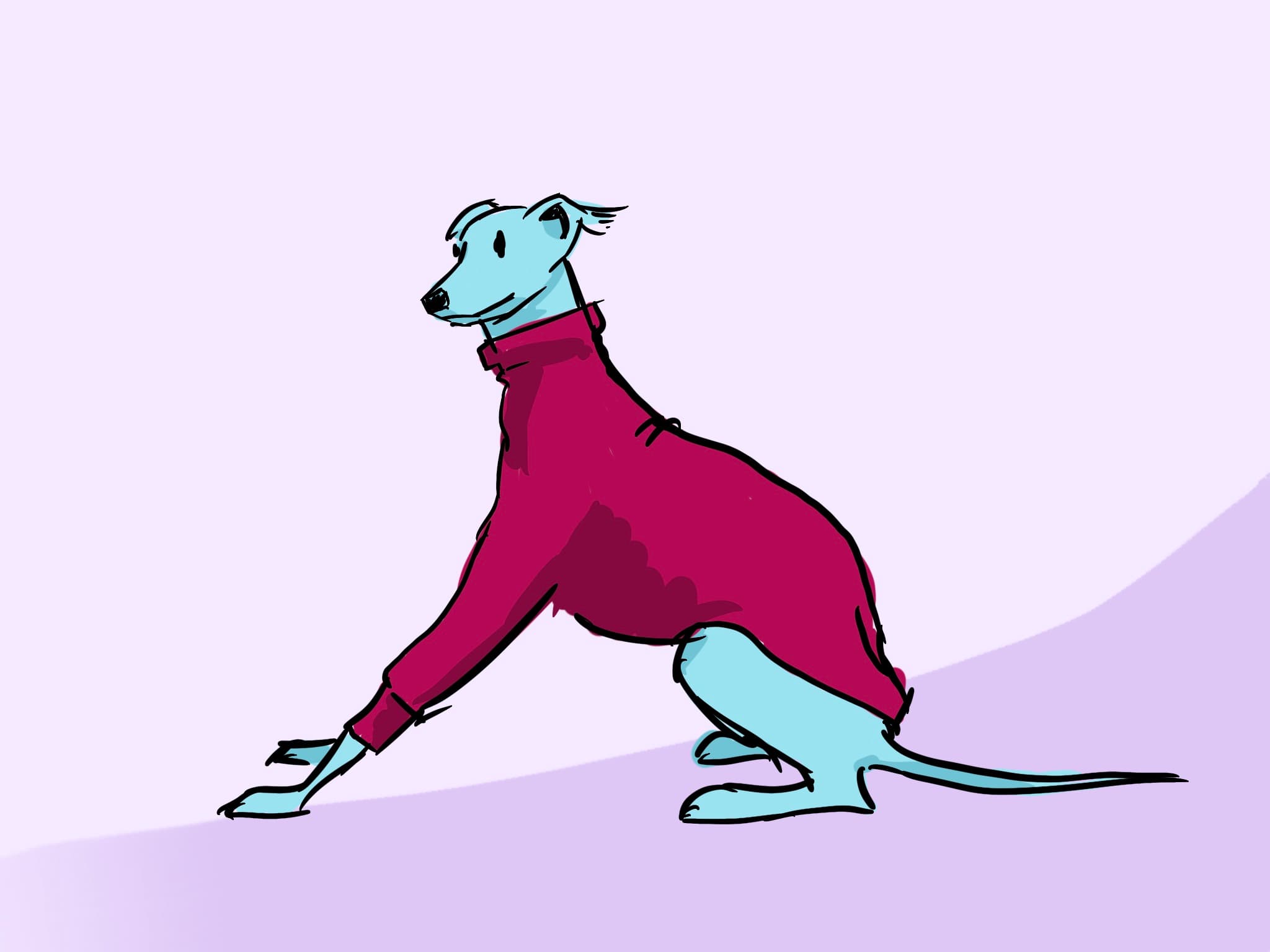 Snyk + International Dog Day: recap | Snyk