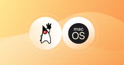 Installing and managing Java on macOS | Snyk